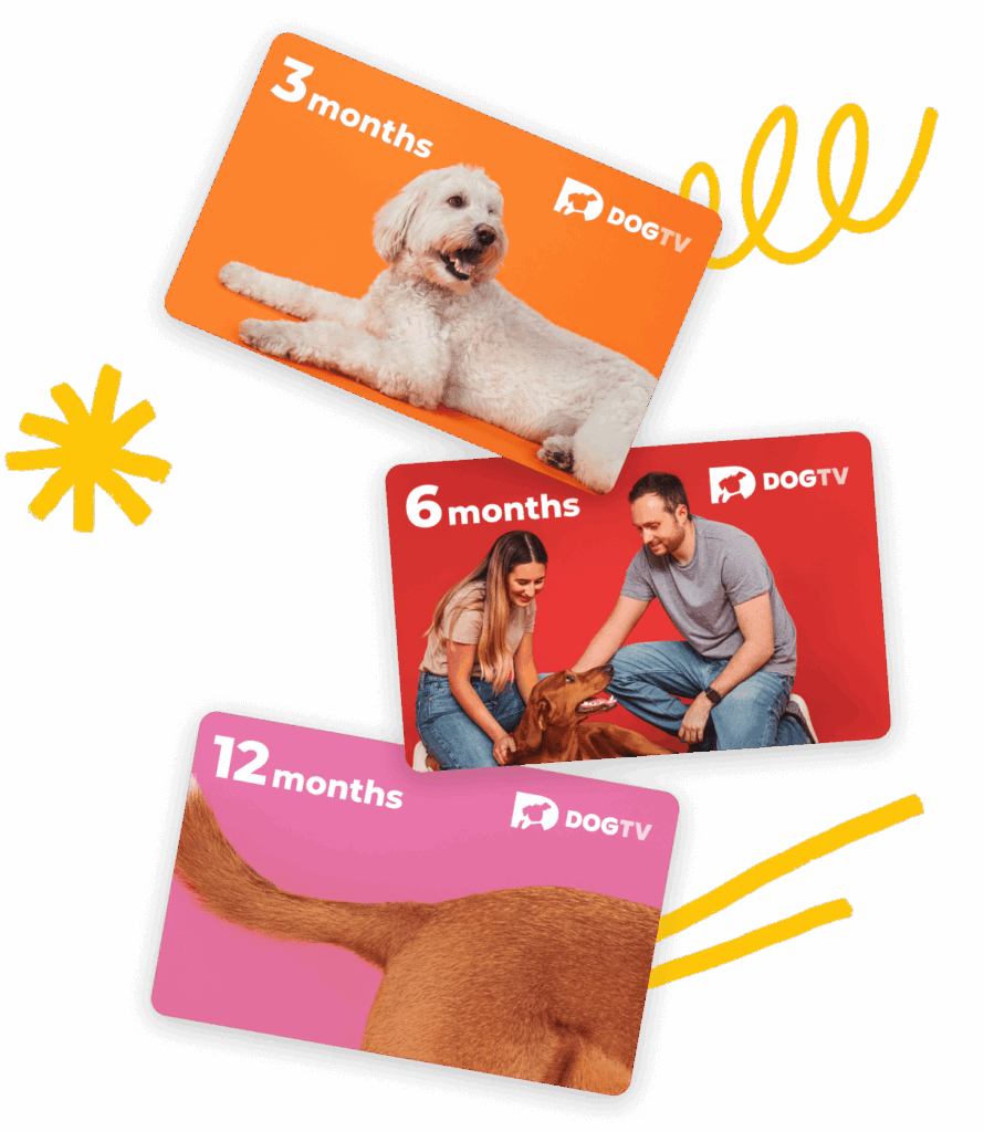 Gifts — DOGTV | TV channel for Dogs and their Humans